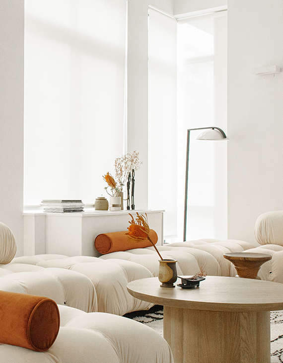 1 Bedroom + Den Apartments | South Loop's Newest Apartments